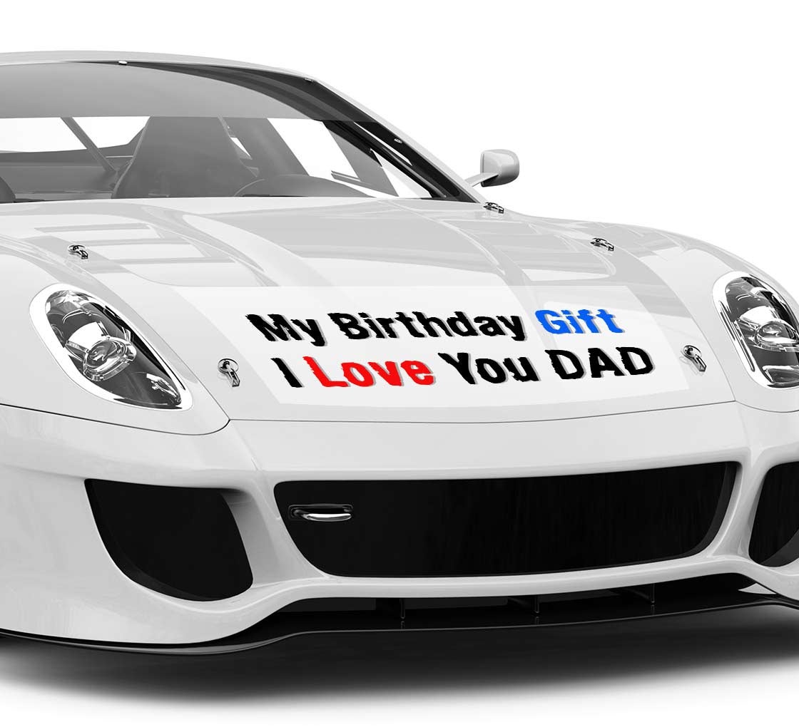 Lowered Expectations Bumper Stickers Car Stickers Custom Bumper