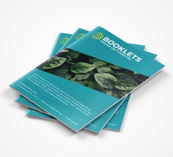 Full Color Booklet Printing Booklet Printing Online Full Color Booklet Printing Booklet Printing Online